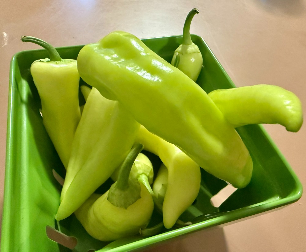 Culinary Thrill Seeking – Peppers go with fish… and everything else ...