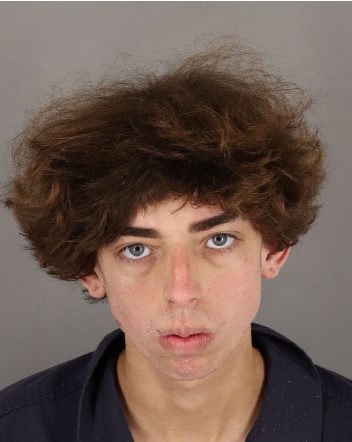 Indictment: 18-year-old allegedly steals firearm from vehicle, flees ...